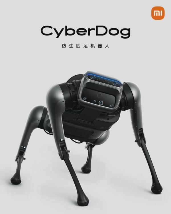 狗2 | CBOOK和你一起活出自己的生活態度